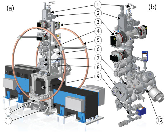 The DREAM Endstation at the Linac Coherent Light Source