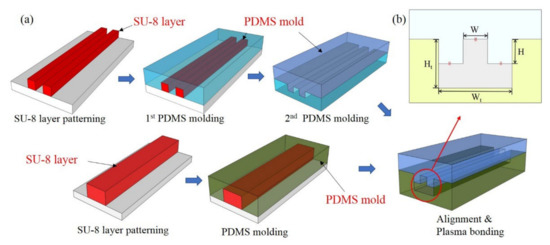 Elasto-Inertial Particle Focusing in Microchannel with T-Shaped Cross-Section