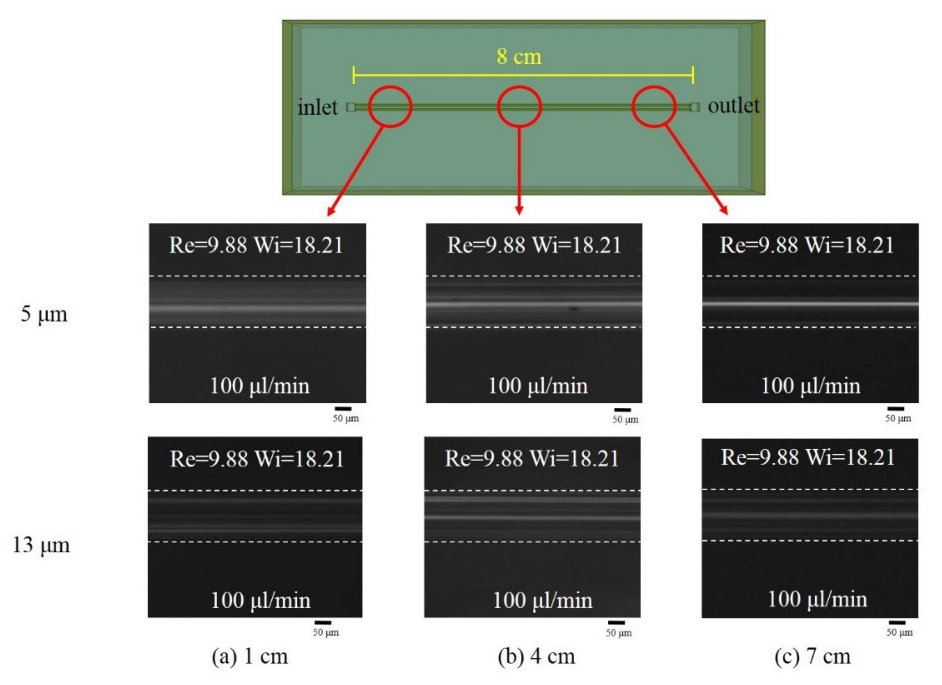 Elasto-Inertial Particle Focusing in Microchannel with T-Shaped Cross-Section