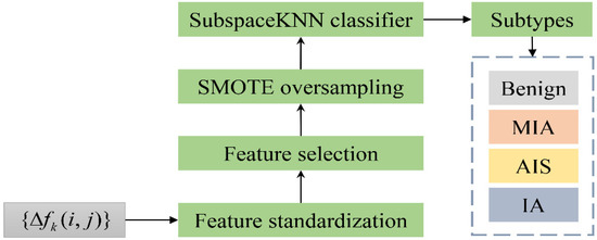 A Radiomics Approach Based on Follow-Up CT for Pathological Subtypes ...