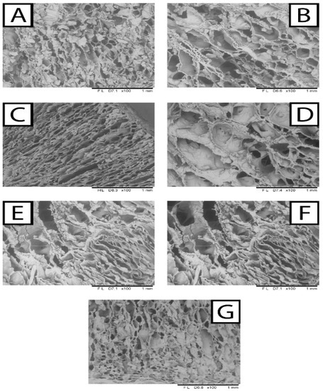 The Effect of Hybrid Drying Methods on the Quality of Dried Carrot