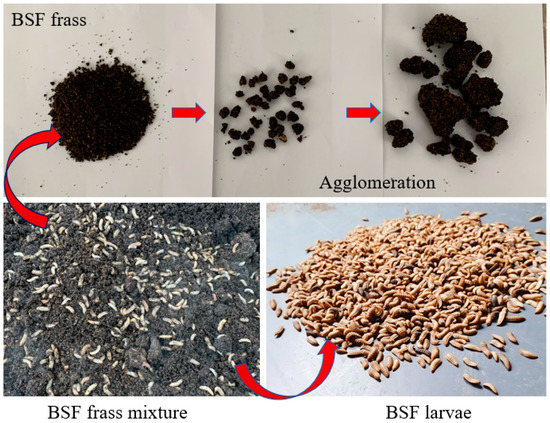 Design and Experiment of Black Soldier Fly Frass Mixture Separation ...