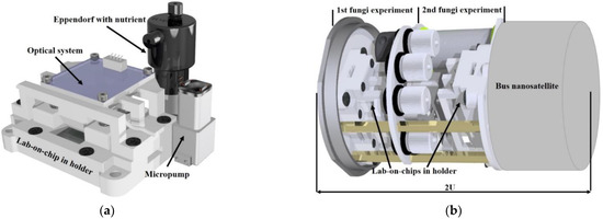 Lab-on-Chip Culturing System for Fungi—Towards Nanosatellite Missions
