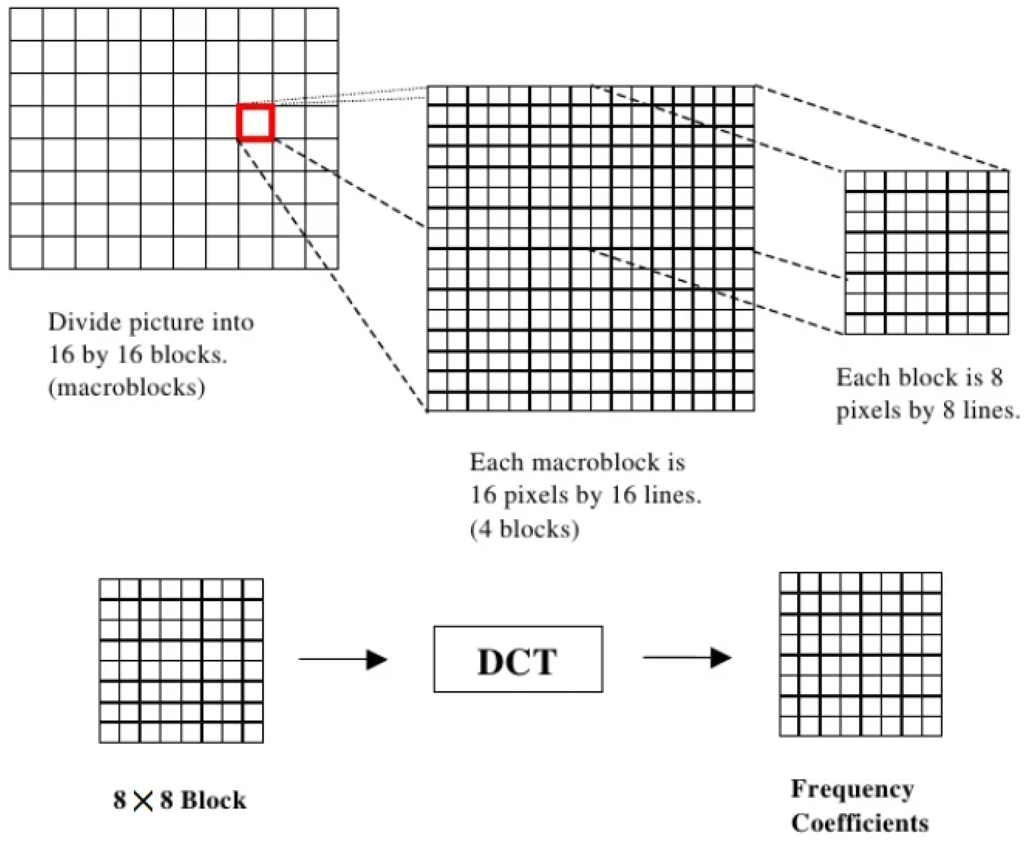 Advanced Dipper-Throated Meta-Heuristic Optimization Algorithm for Digital Image Watermarking