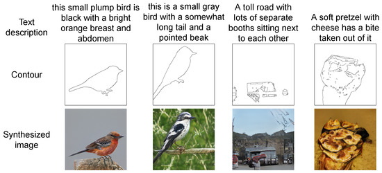 Text-Guided Customizable Image Synthesis and Manipulation