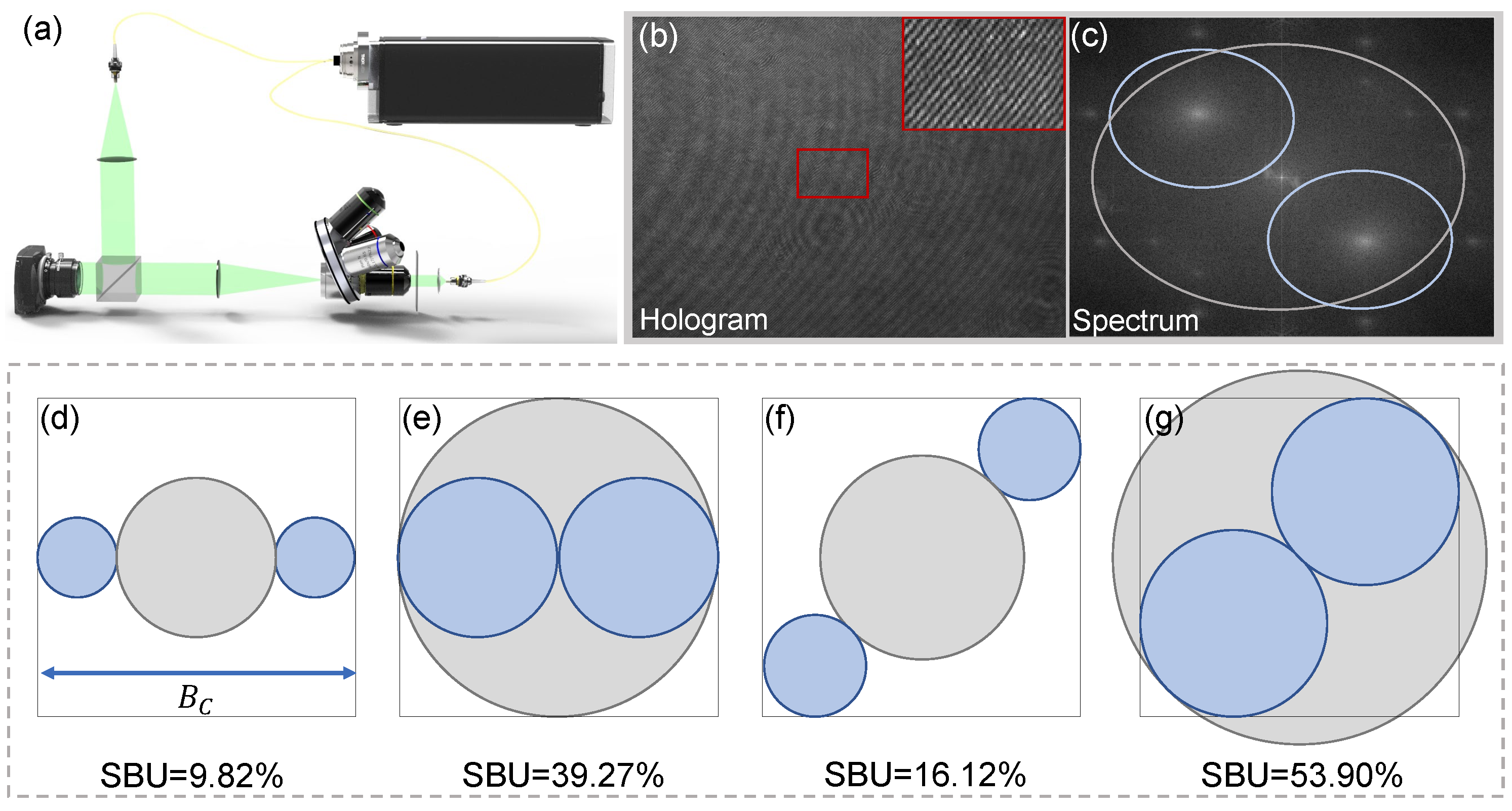 High Bandwidth-Utilization Digital Holographic Reconstruction Using an Untrained Neural Network