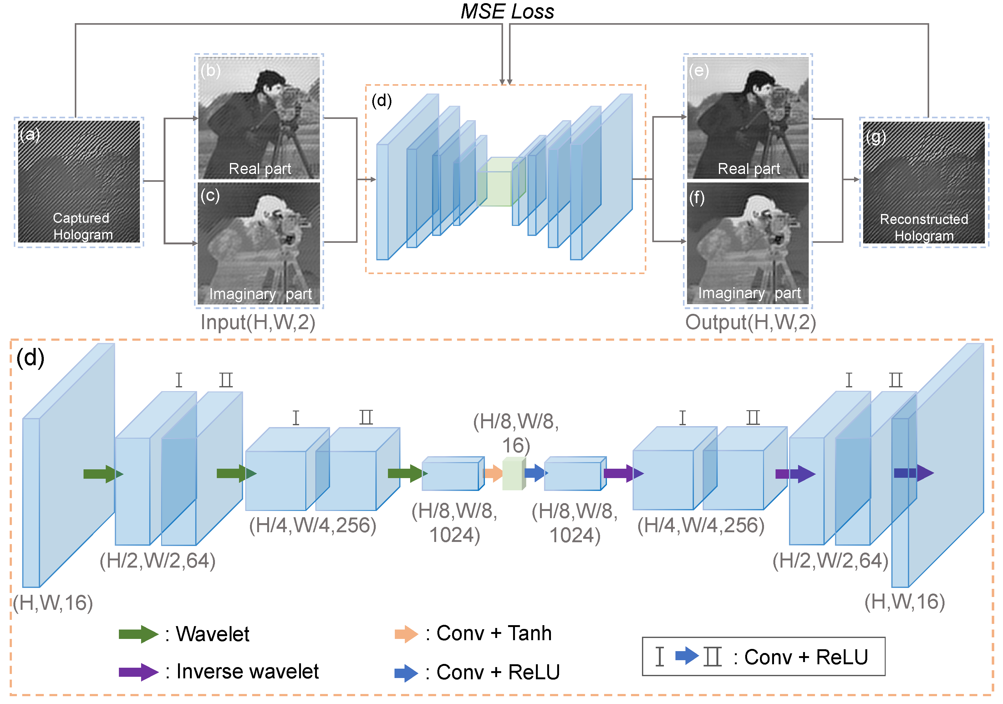 High Bandwidth-Utilization Digital Holographic Reconstruction Using an Untrained Neural Network