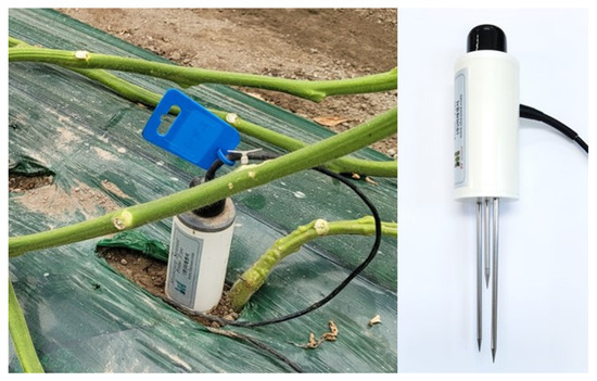 A Study on the Field Applicability of Intermittent Irrigation in ...