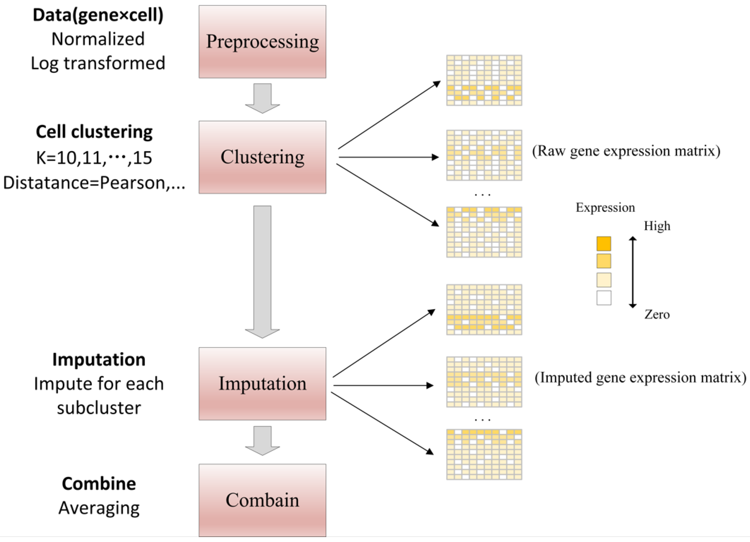 Imputation Methods for scRNA Sequencing Data