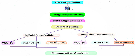Evaluation and Optimization of Biomedical Image-Based Deep Convolutional Neural Network Model ...