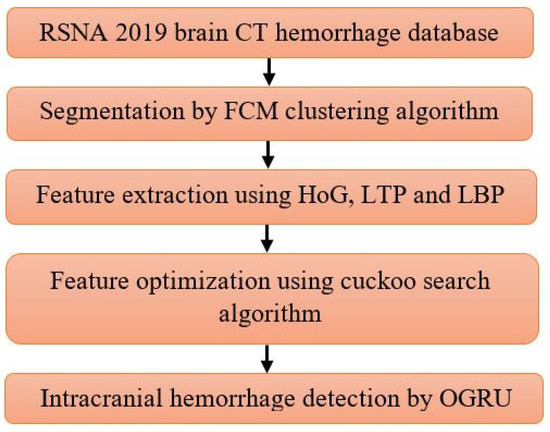 Intracranial Hemorrhages Segmentation and Features Selection Applying ...