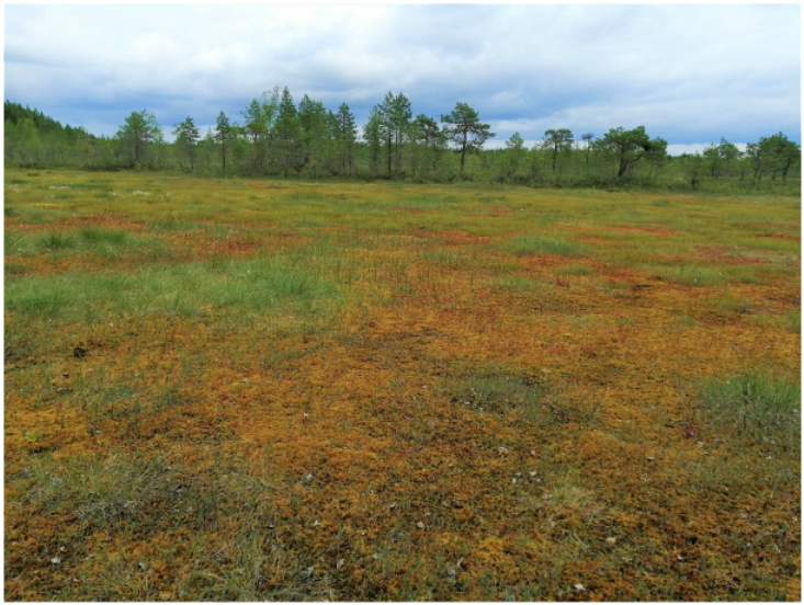 Estimation of Physicochemical Parameters and Vertical Migration of ...