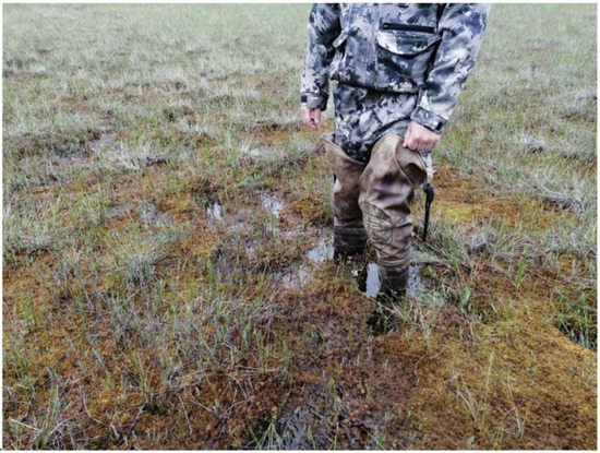 Estimation of Physicochemical Parameters and Vertical Migration of ...