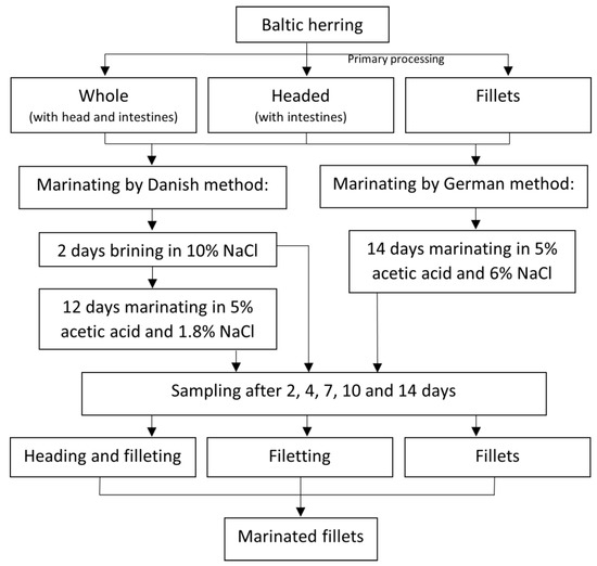 Applied Sciences | Free Full-Text | Effects of Primary Processing and ...