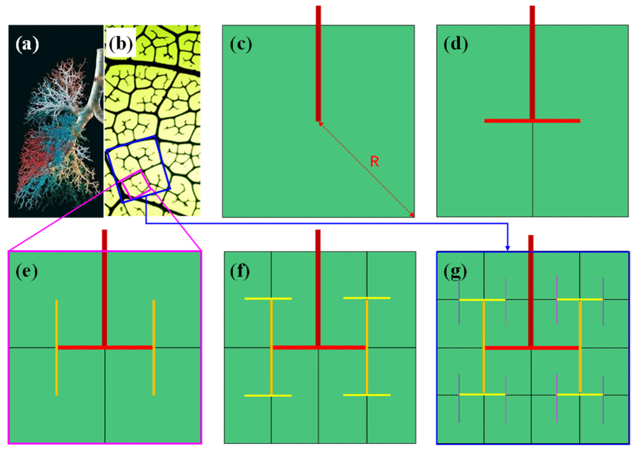 A Frame Theory of Energetic Life: A Twisting Energy Solidified on the ...