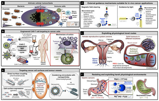 Light-Controlled Microbots in Biomedical Application: A Review