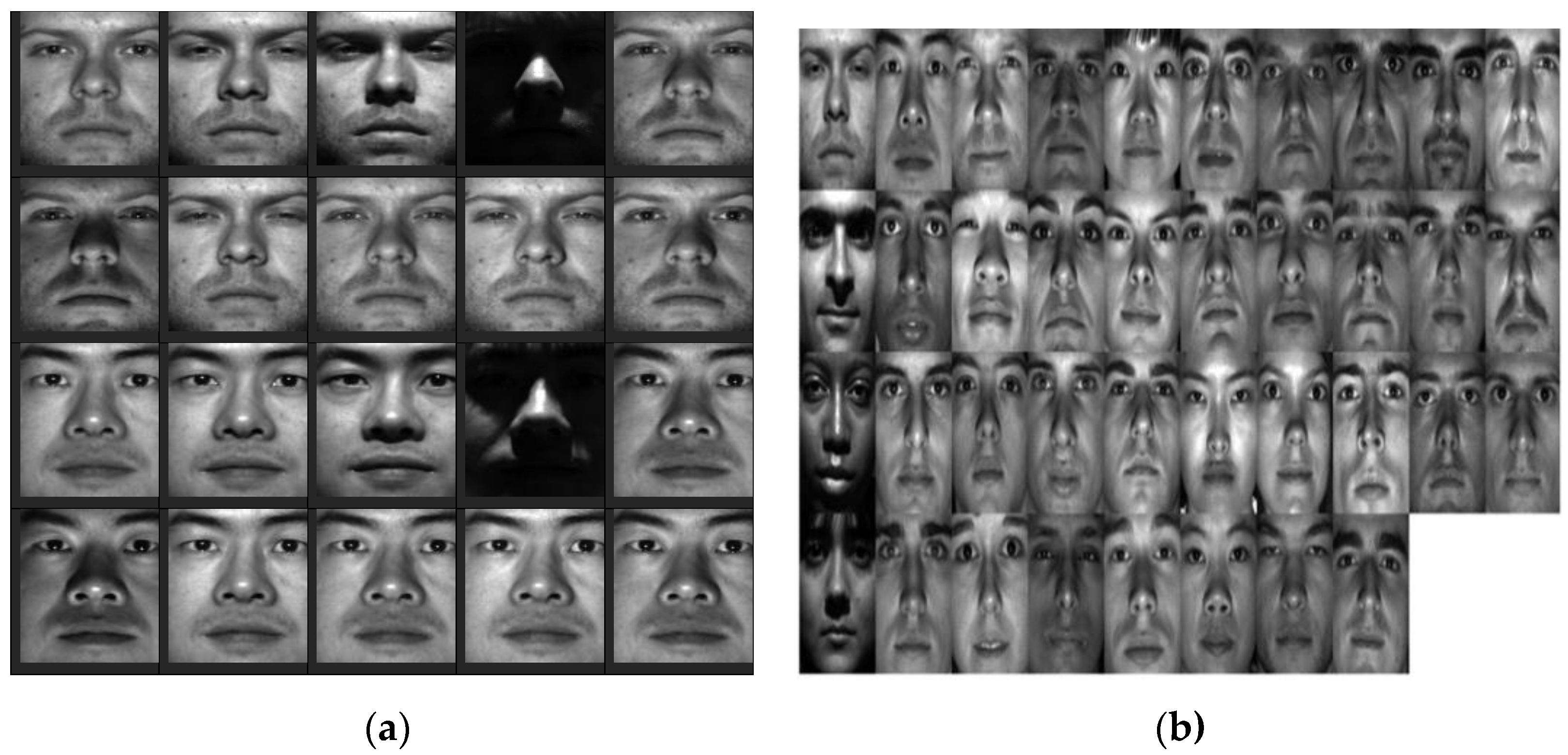 Matlab Code For Face Recognition Using Gabor Features Sale Online ...