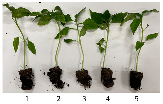 Design and Experimental Study of Intermittent Automatic Grouping ...