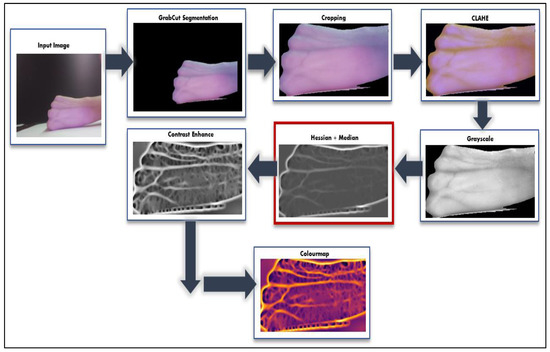 Near Infrared Illumination Optimization for Vein Detection: Hardware ...