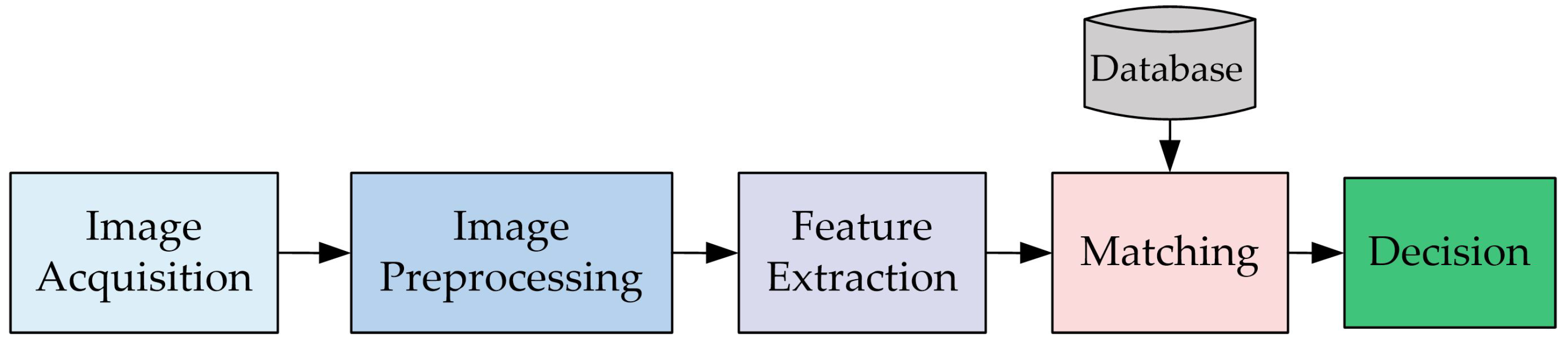 Finger Vein and Inner Knuckle Print Recognition Based on Multilevel Feature Fusion Network