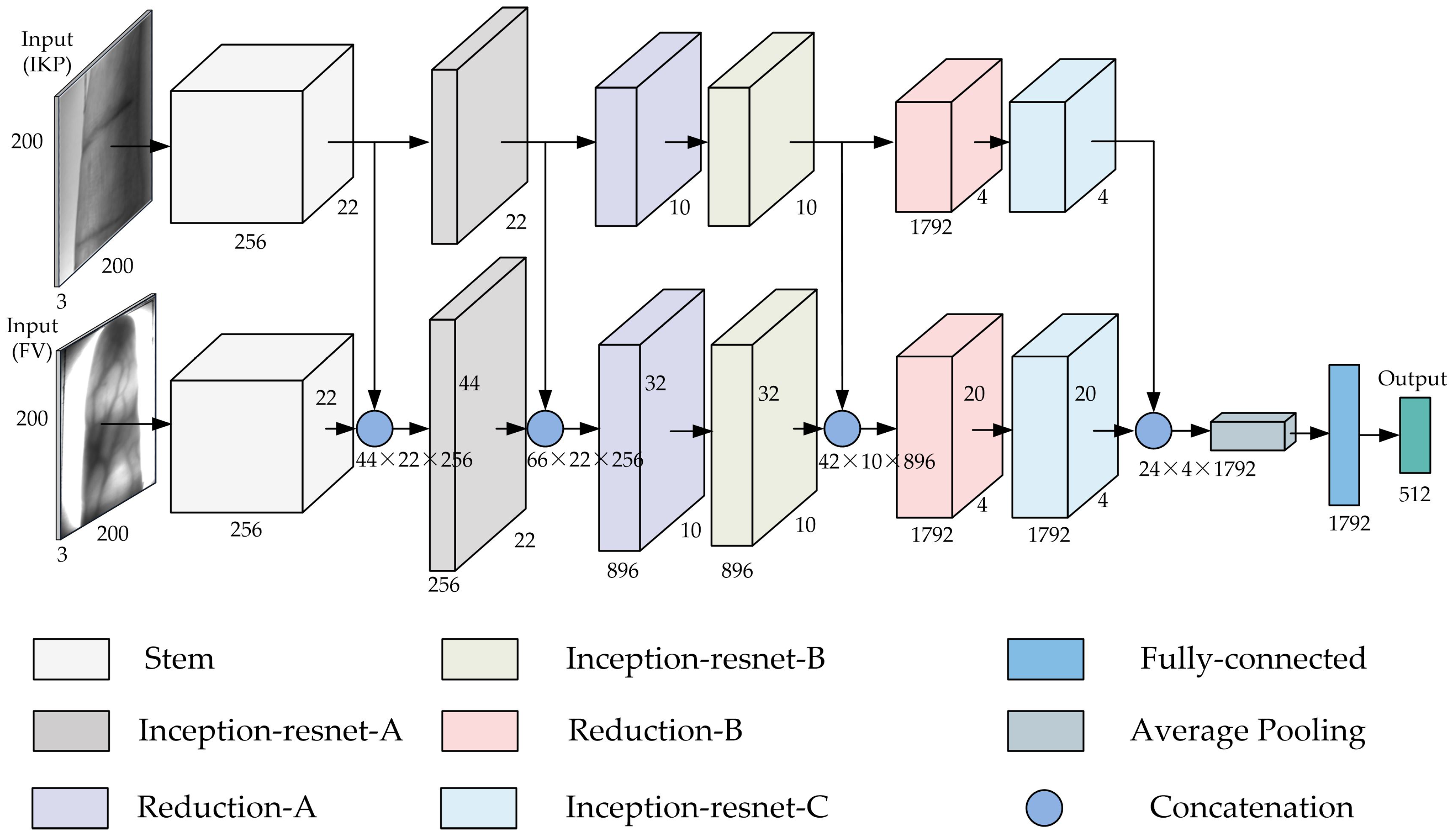 Finger Vein and Inner Knuckle Print Recognition Based on Multilevel Feature Fusion Network