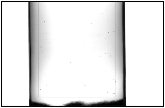 Deep Learning-Based Method for Accurate Real-Time Seed Detection in ...