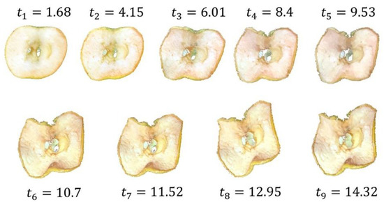 Monitoring of the Dehydration Process of Apple Snacks with Visual ...