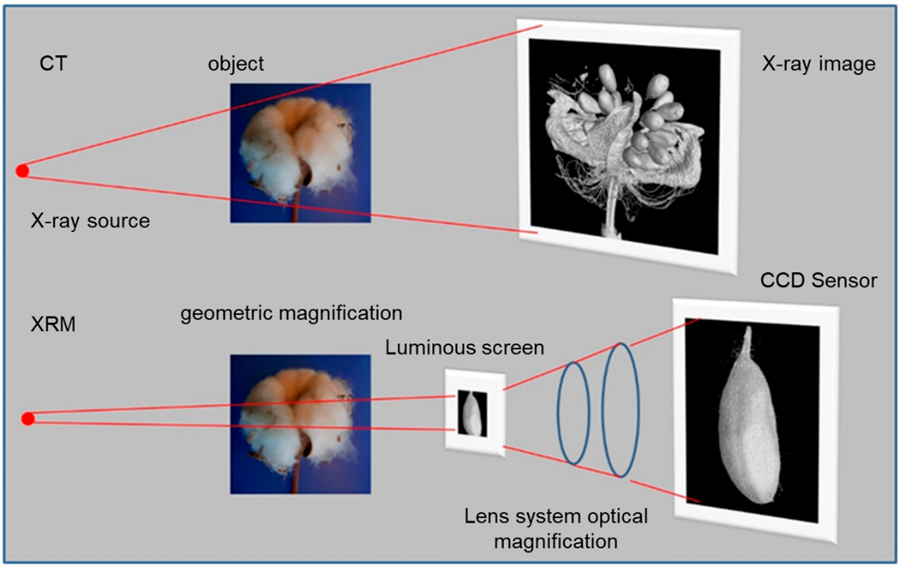 Investigation of the Causes of Premature Rain Erosion Evolution in ...