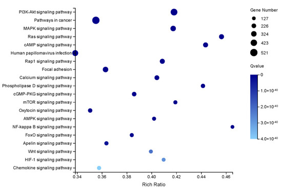 De Novo Transcriptome Analysis of the Lizard Fish (Saurida elongata ...