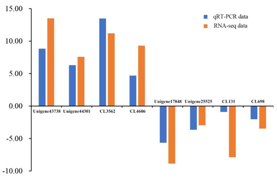 De Novo Transcriptome Analysis of the Lizard Fish (Saurida elongata ...