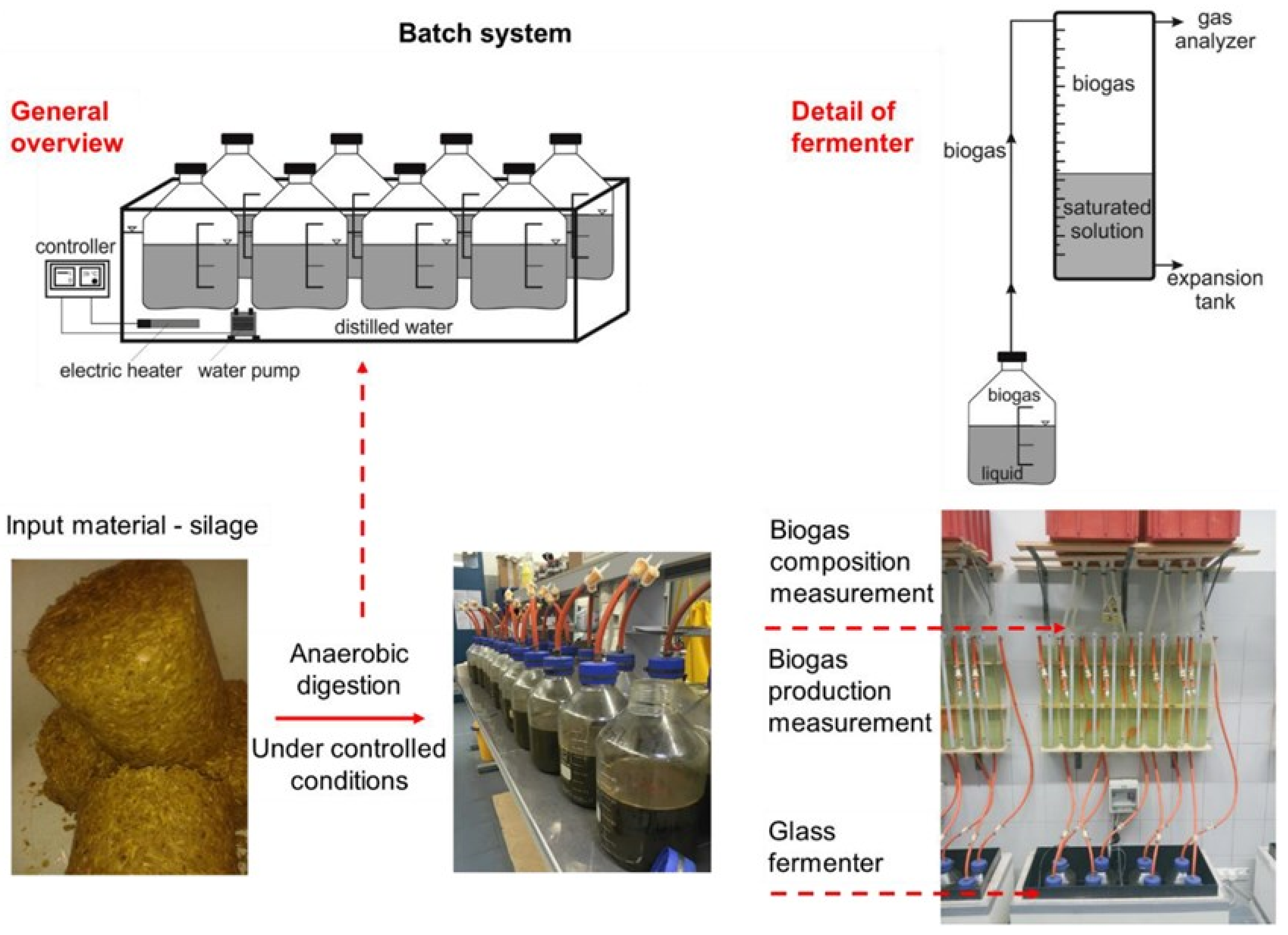 Anaerobic Fermentation of Silage from the Above-Ground Biomass of ...