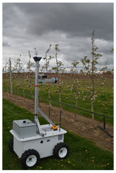 Smart Agriculture: A Fruit Flower Cluster Detection Strategy in Apple ...