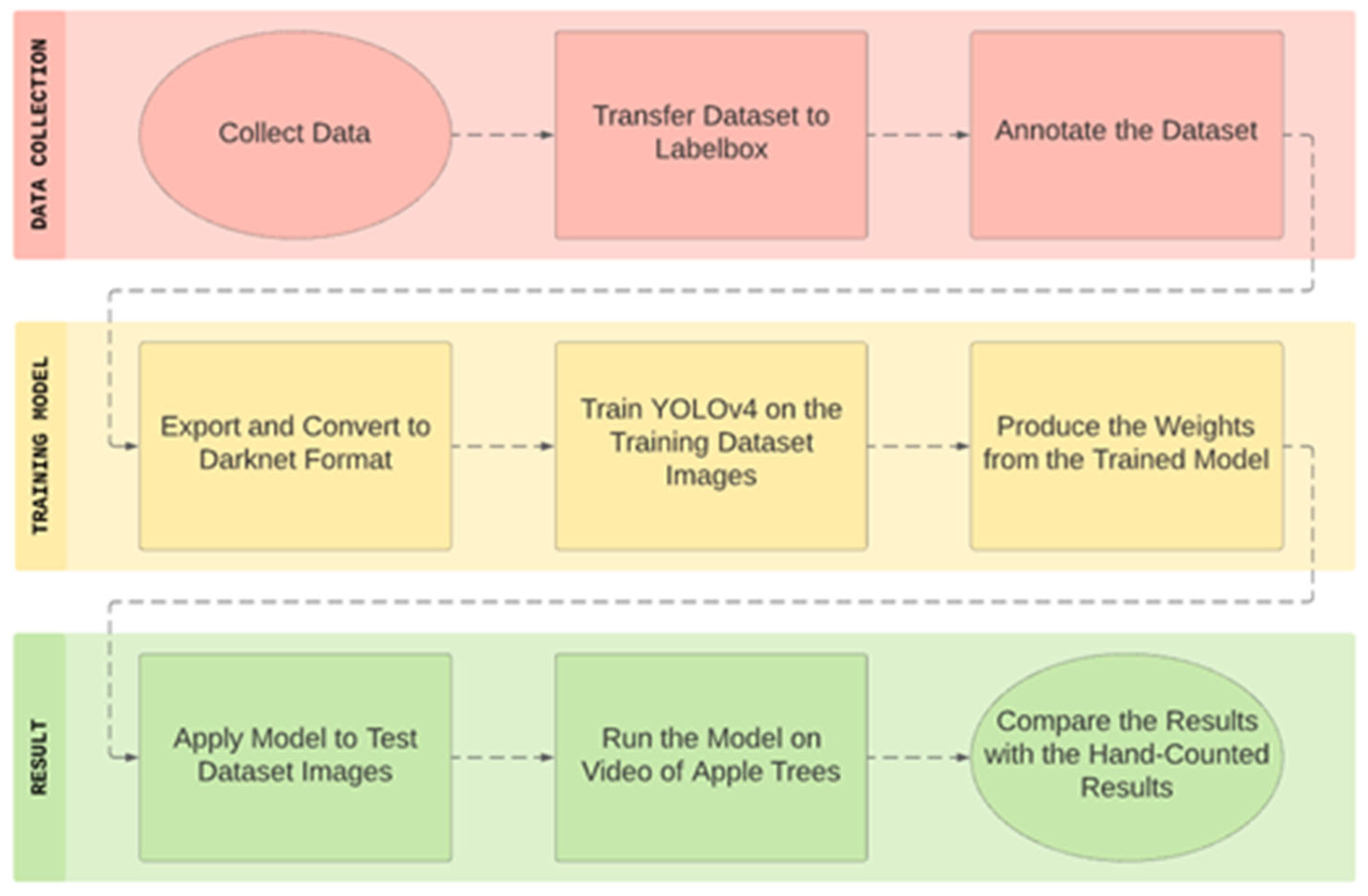 Smart Agriculture: A Fruit Flower Cluster Detection Strategy in Apple ...