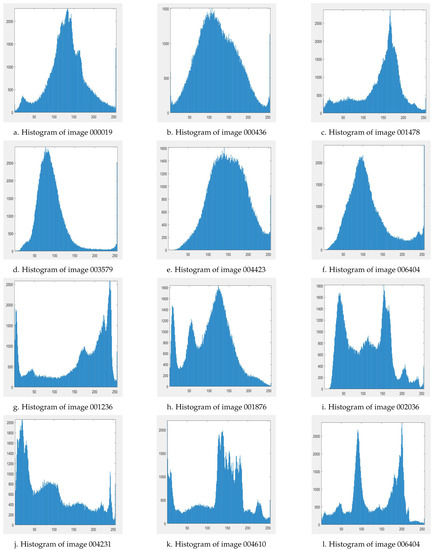 Applied Sciences | Free Full-Text | OTSU Multi-Threshold Image Segmentation Based on Improved ...