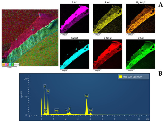 The Impact of Eggshell Thickness on the Qualitative Characteristics of ...