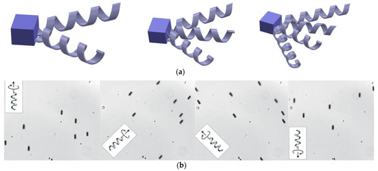 A Review on the Motion of Magnetically Actuated Bio-Inspired Microrobots