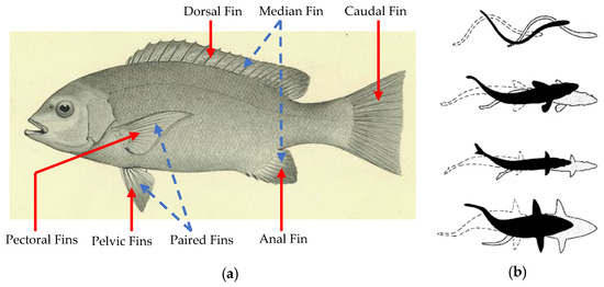A Review on the Motion of Magnetically Actuated Bio-Inspired Microrobots