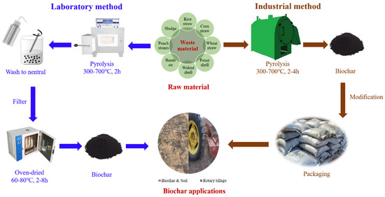 Modified Biochar as a More Promising Amendment Agent for Remediation of Pesticide-Contaminated ...