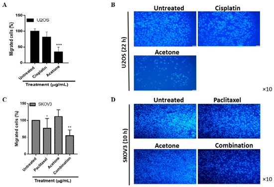 Evaluating the Potential Anticancer Properties of Salvia triloba in ...