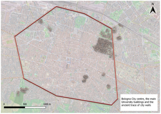 How do University Student Cyclists Ride? The Case of University of Bologna