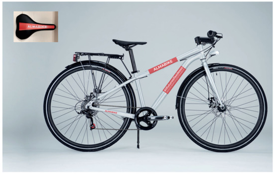 How do University Student Cyclists Ride? The Case of University of Bologna