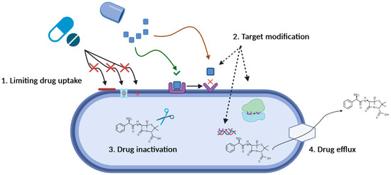 Novel Antimicrobials, Drug Delivery Systems and Antivirulence Targets ...