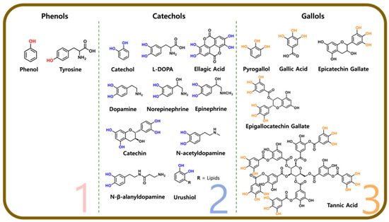 Crosslinking Mechanisms of Phenol, Catechol, and Gallol for Synthetic ...