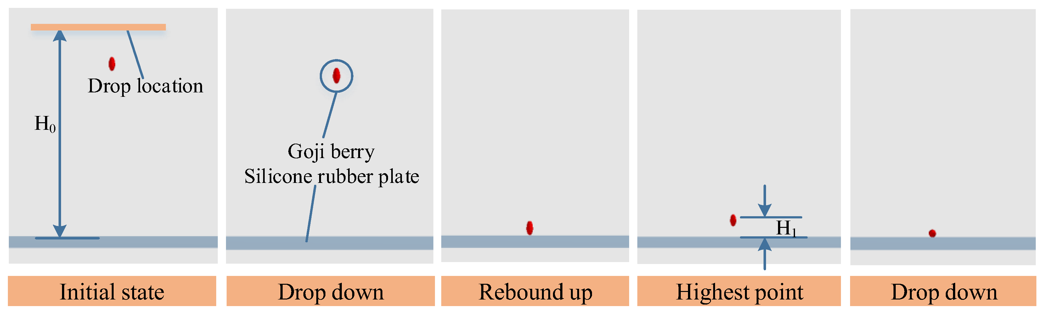 Calibration And Testing Of Discrete Element Modeling Parameters For Fresh Goji Berries