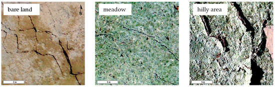 Recognition of Earthquake Surface Ruptures Using Deep Learning