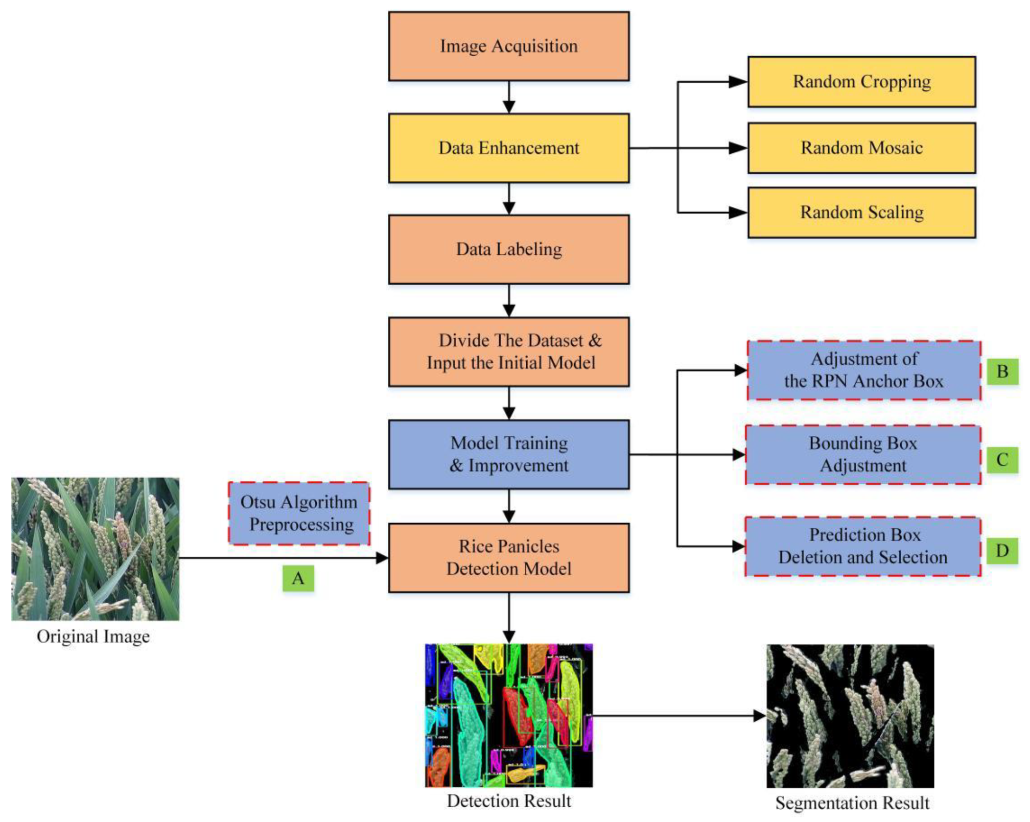 Improved Mask R-CNN Combined with Otsu Preprocessing for Rice Panicle ...