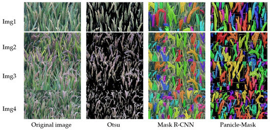Improved Mask R Cnn Combined With Otsu Preprocessing For Rice Panicle Detection And Segmentation