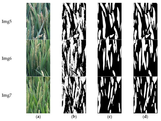 Improved Mask R-CNN Combined with Otsu Preprocessing for Rice Panicle Detection and Segmentation