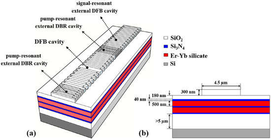 Recent Progress in On-Chip Erbium-Based Light Sources