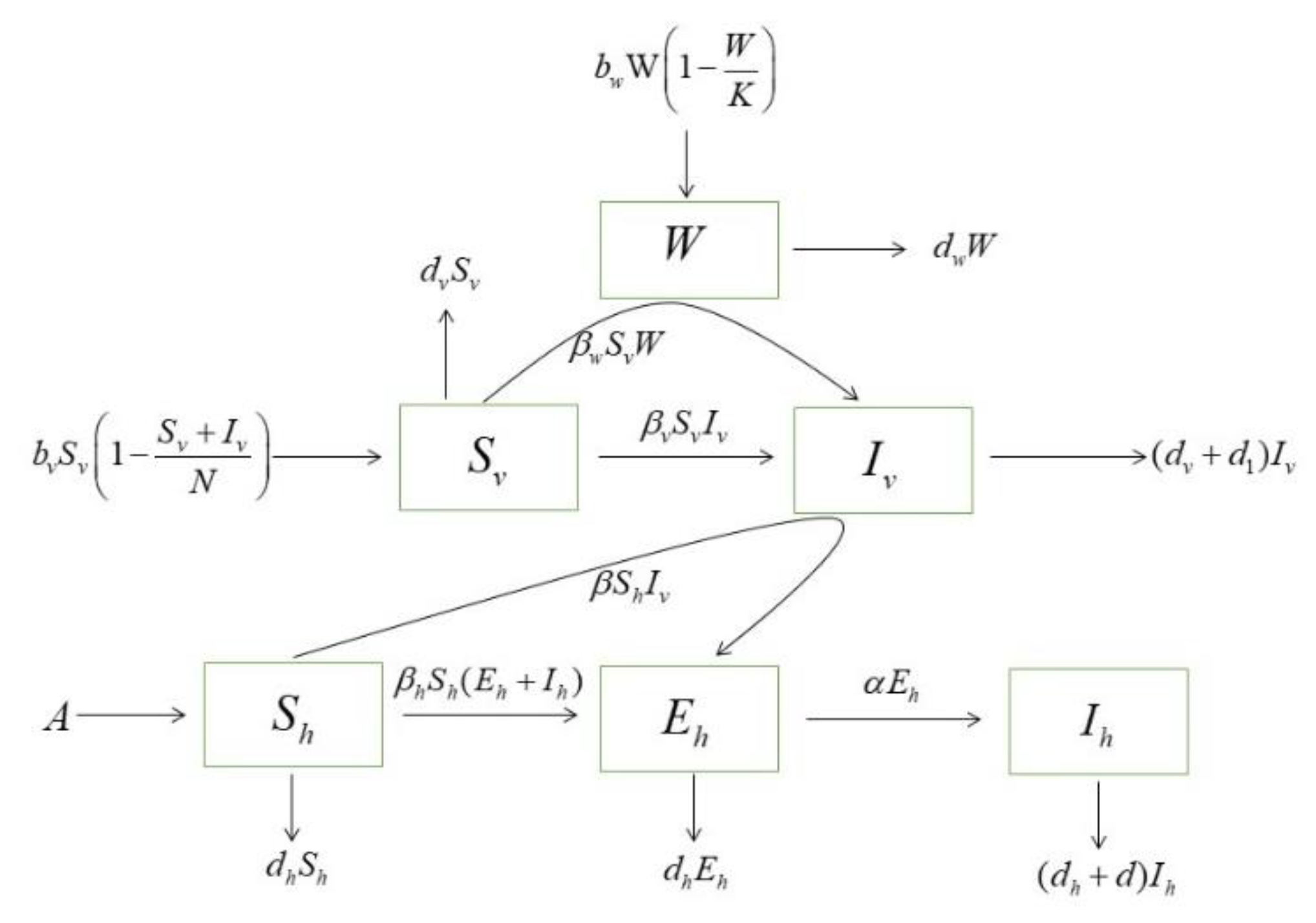 Influence and Control of SARS-CoV-2 Transmission under Two Different Models